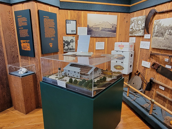 indian river citrus museum 5