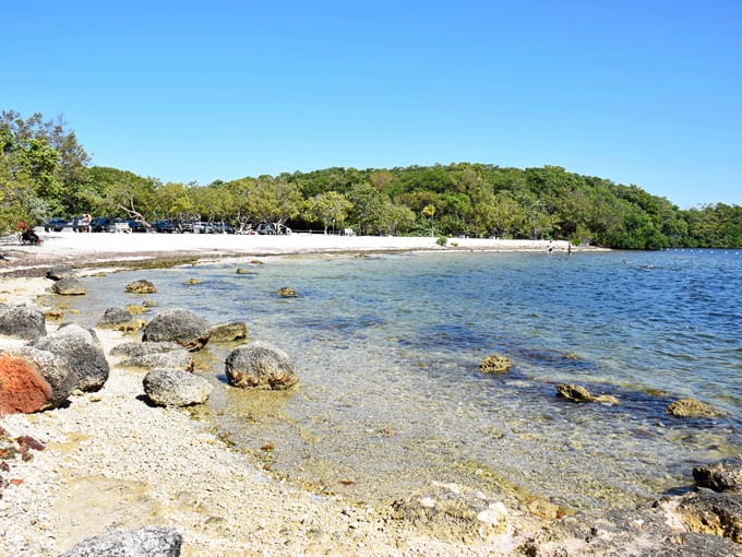 john pennekamp coral reef state park 2