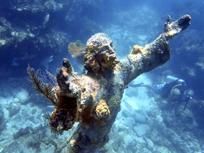 john pennekamp coral reef state park 6