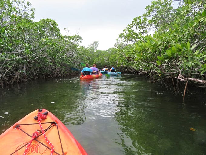 john pennekamp coral reef state park 8