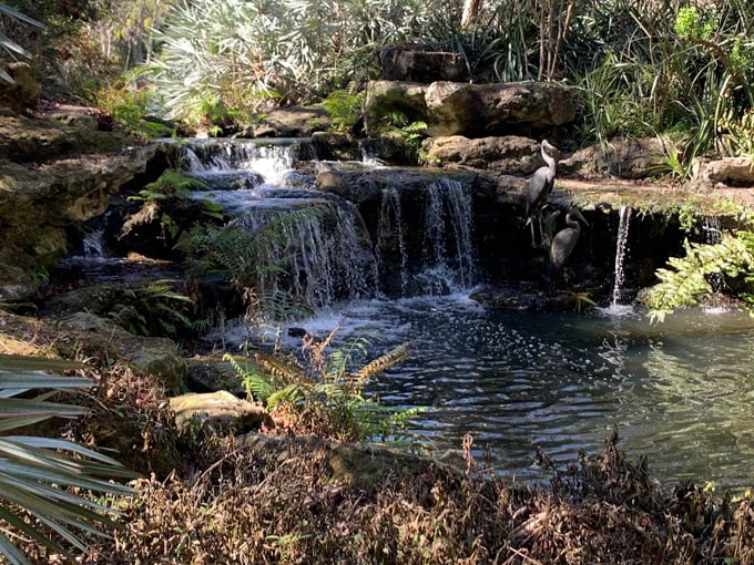 kanapaha botanical gardens 2