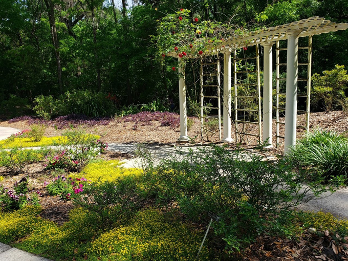 kanapaha botanical gardens 5