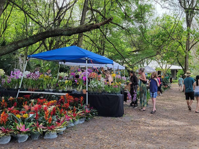 kanapaha botanical gardens 7