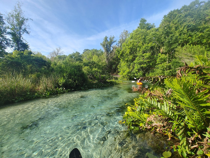 kelly park rock springs 1