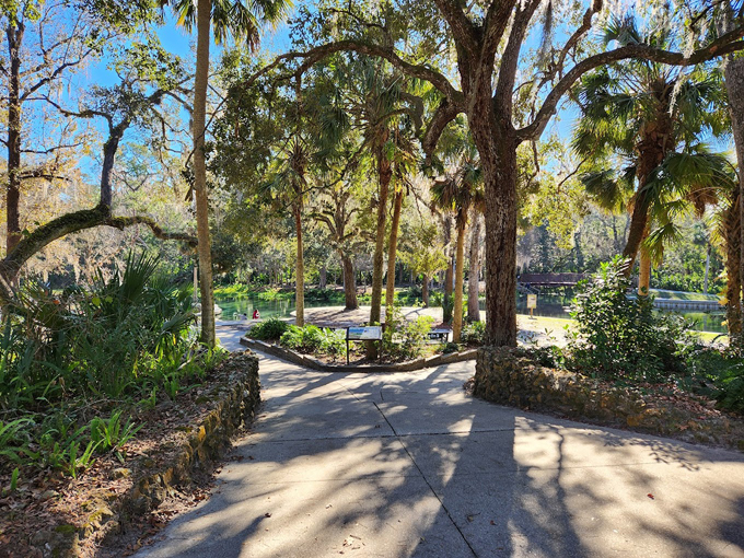 kelly park rock springs 2