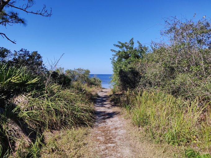 key vista nature park 2