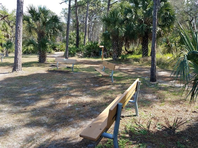 key vista nature park 3