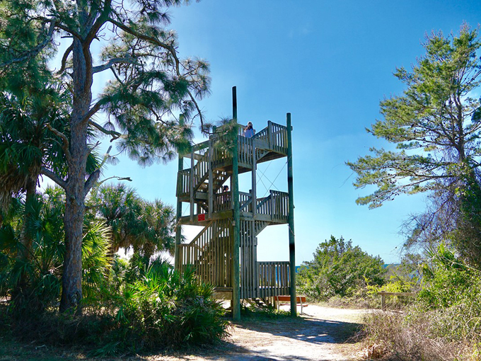 key vista nature park 4