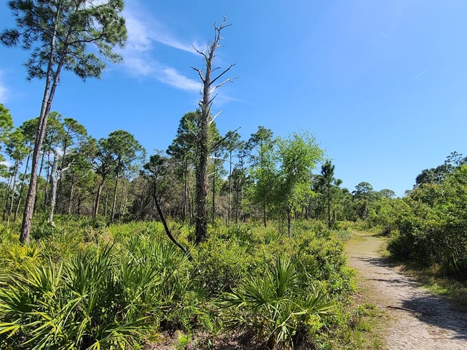 key vista nature park 5