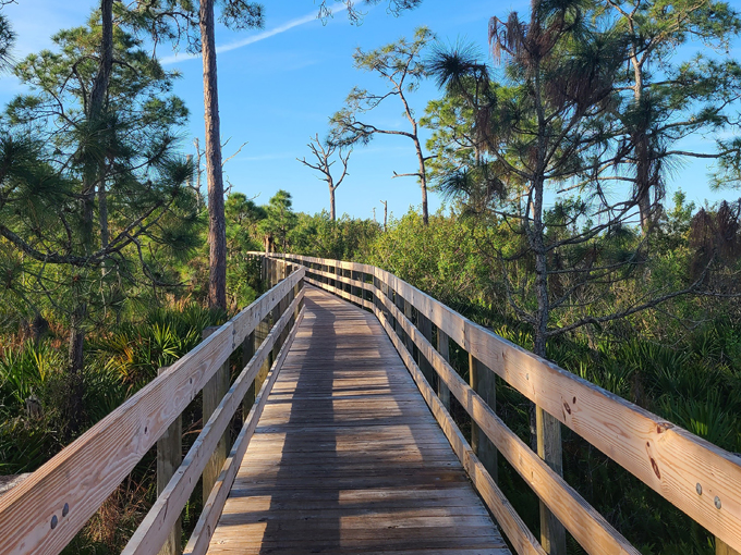 key vista nature park 5