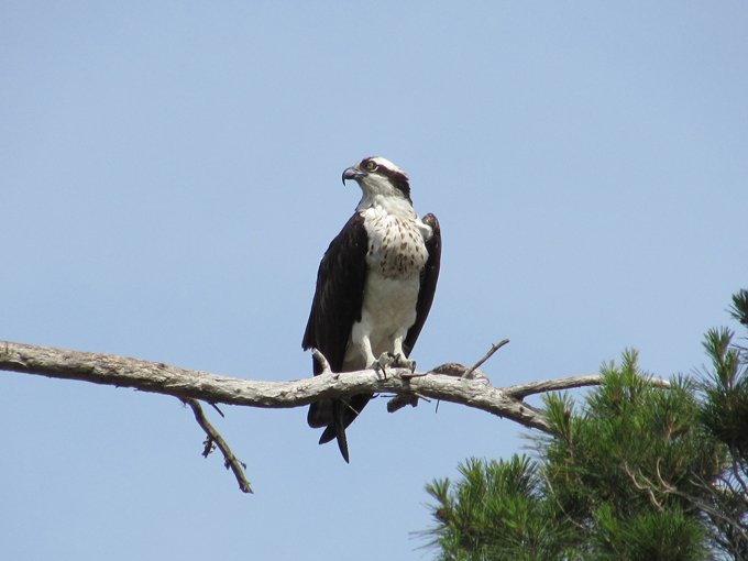 key vista nature park 6