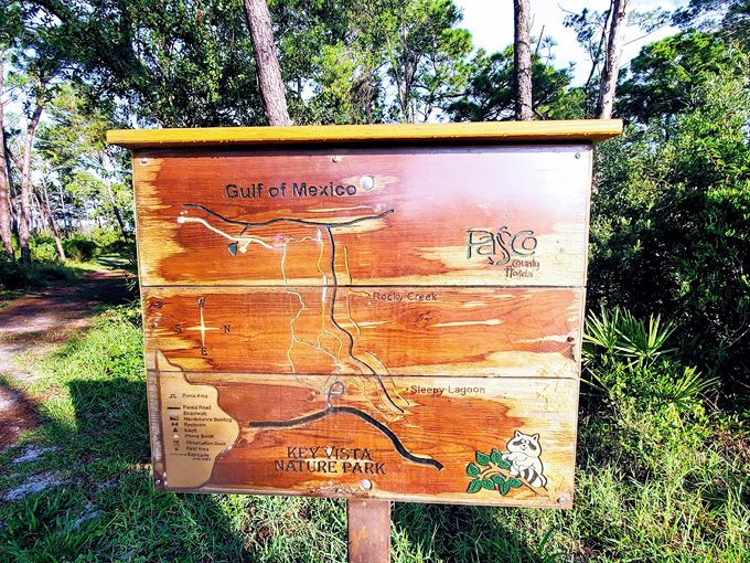 key vista nature park 7