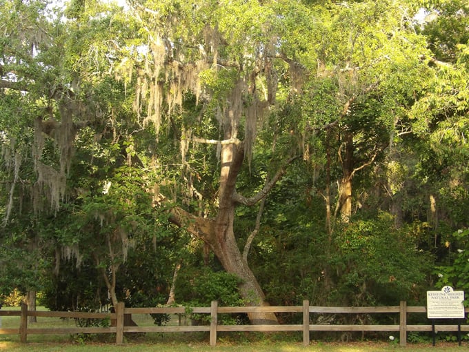 keystone heights nature park 2