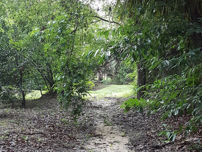 keystone heights nature park 3