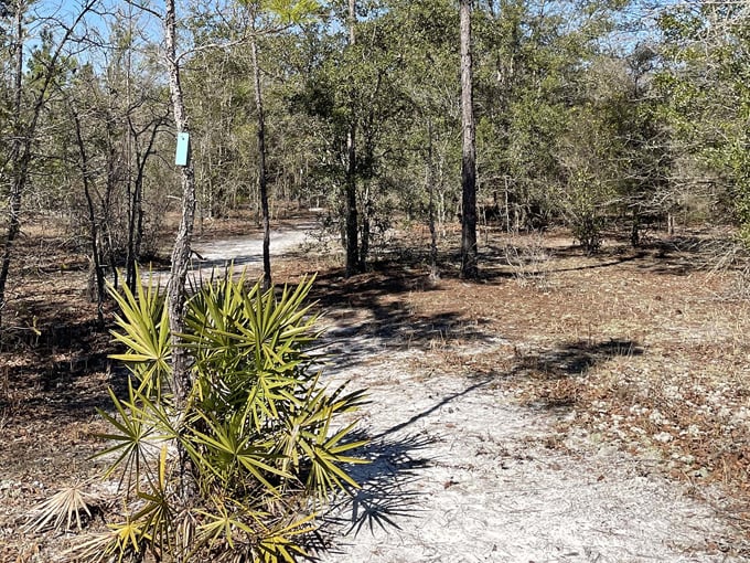 keystone heights nature park 4