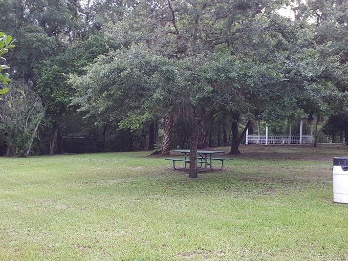 keystone heights nature park 7