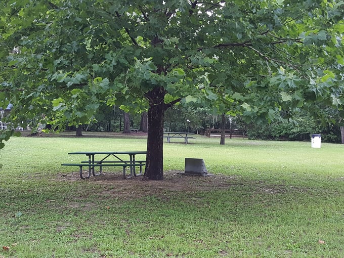 keystone heights nature park 8