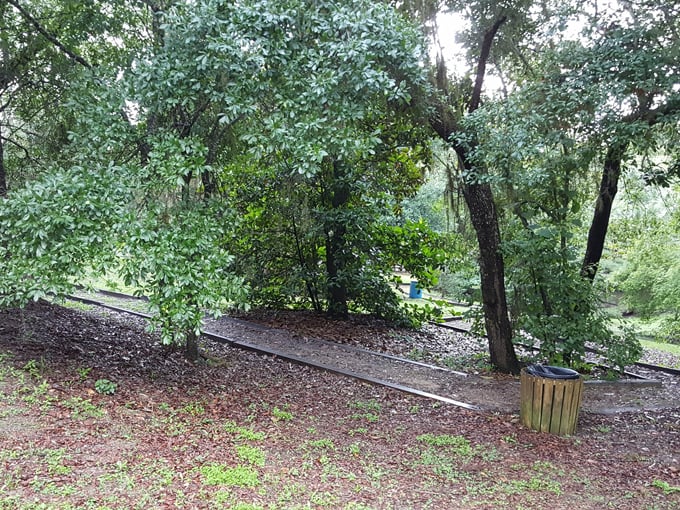 keystone heights nature park 9