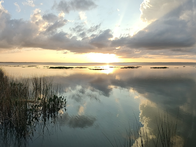 lake apopka loop trail 1