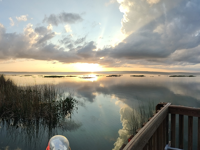 lake apopka loop trail 6