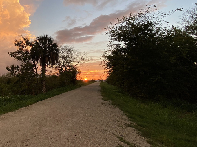 lake apopka loop trail 8