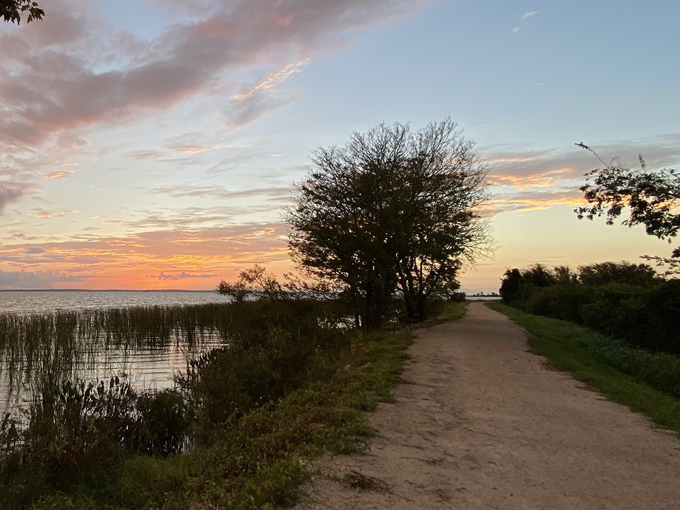 lake apopka loop trail 9