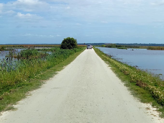 lake apopka wildlife drive 1