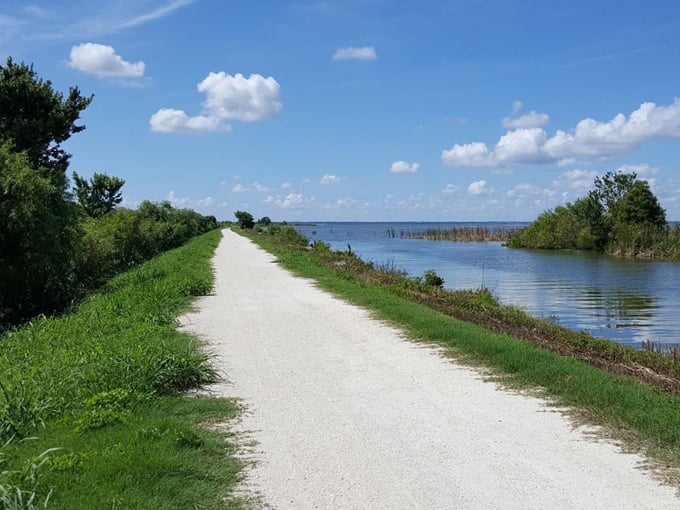 lake apopka wildlife drive 2