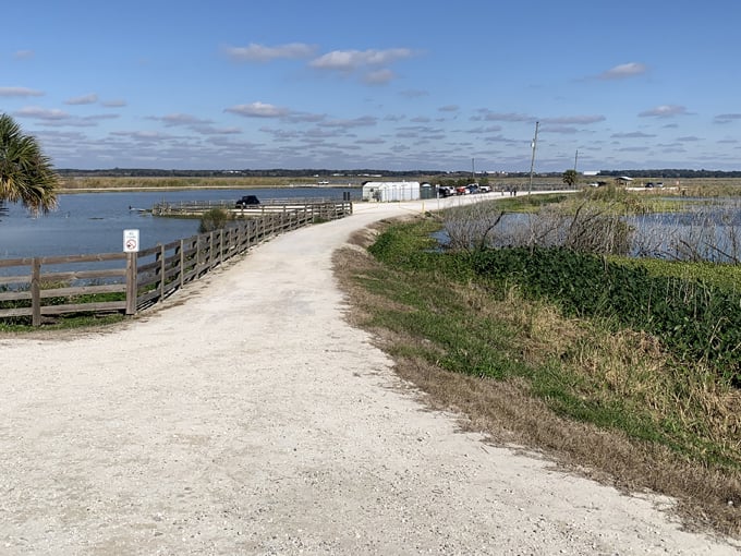 lake apopka wildlife drive 3