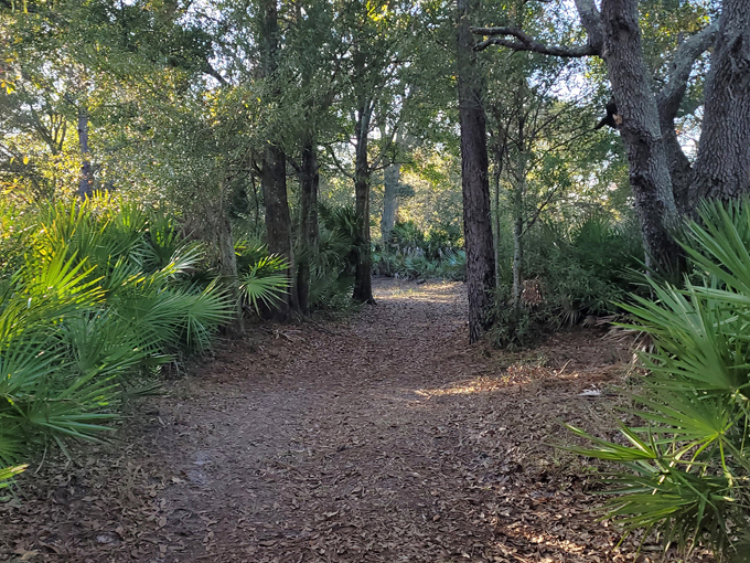 lake conservation park 1