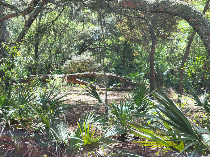 lake conservation park 2