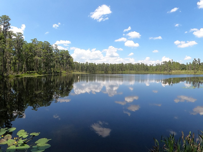 lake conservation park 4