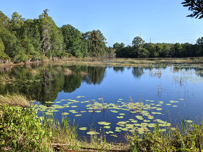 lake conservation park 5