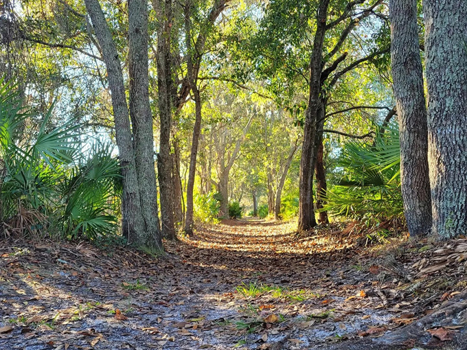 lake conservation park 9