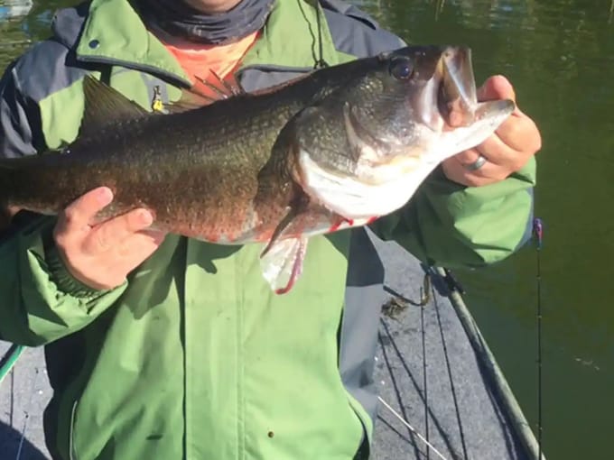 lake eloise 6