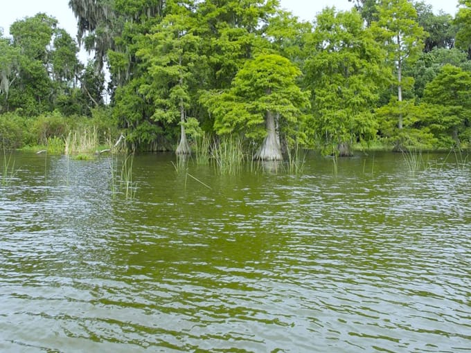 lake eloise 8