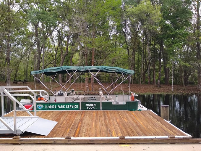 lake griffin state park 4