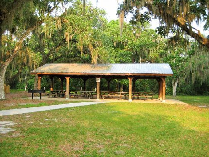 lake griffin state park 8