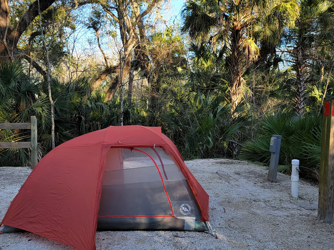 lake griffin state park 9