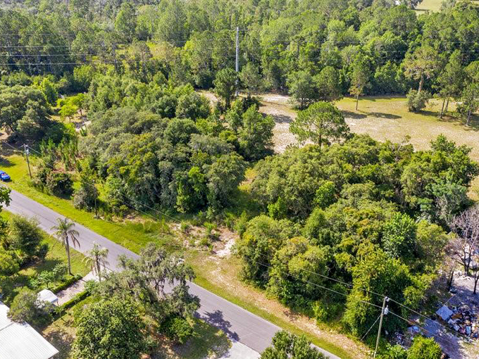 lake mack forest hills 2 1