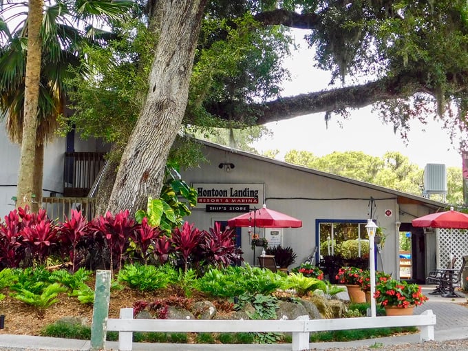 lake mack forest hills 9