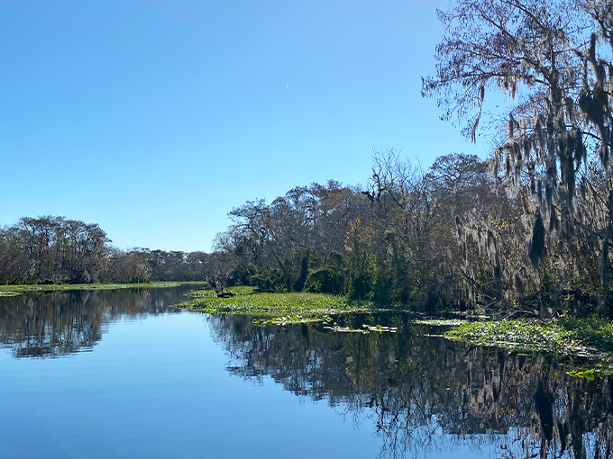 lake mack forest hills 3 2