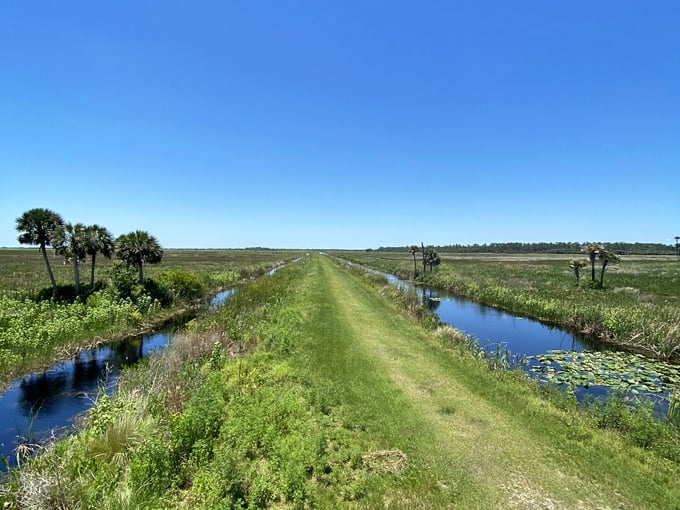 lake woodruff national wildlife refuge 8