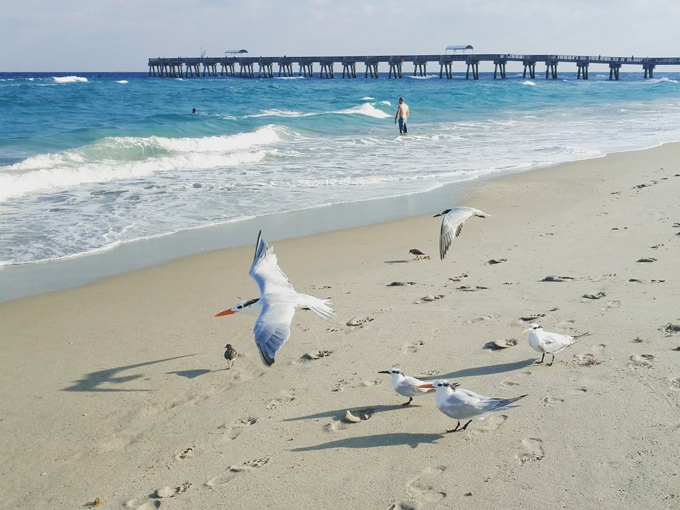 lake worth beach park 2