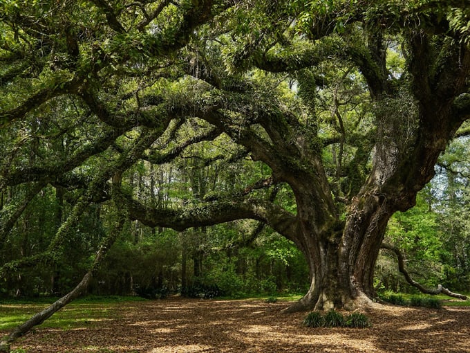lichgate on high road 5