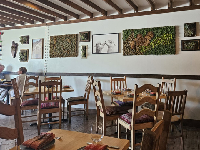 llama restaurant 4