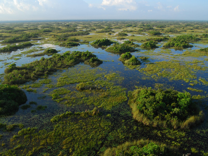 loxahatchee national wildlife refuge 1