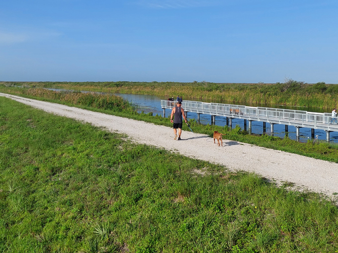 loxahatchee national wildlife refuge 2