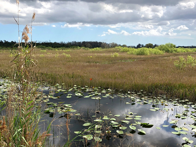 loxahatchee national wildlife refuge 3