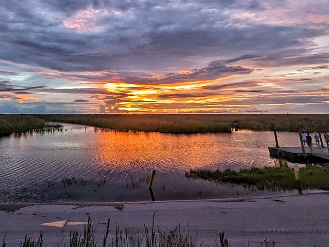loxahatchee national wildlife refuge 9